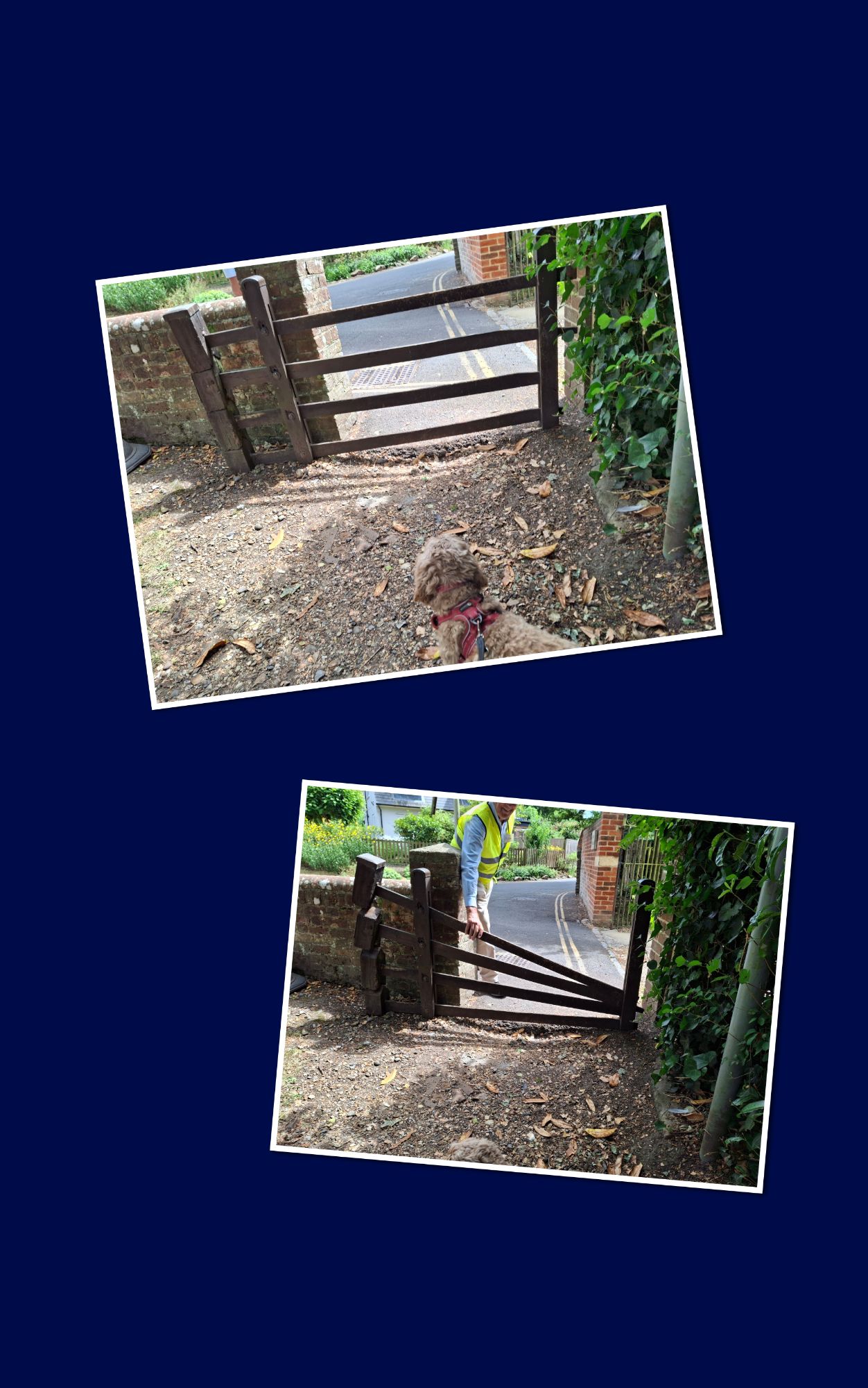 Pickingupducks – A boatdog and two crew move to live and work on a 50ft ...